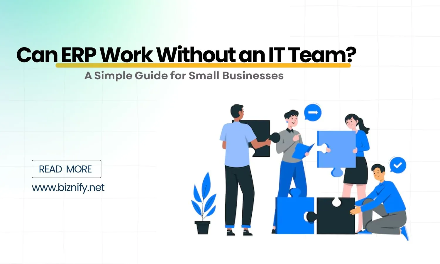 Can ERP Work Without an IT Team?